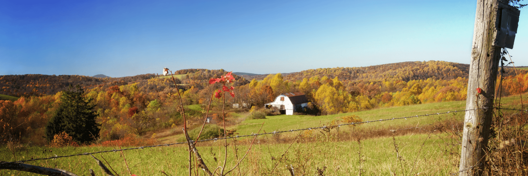 Annual Give Back Day: A Community Commitment - WealthCrossing